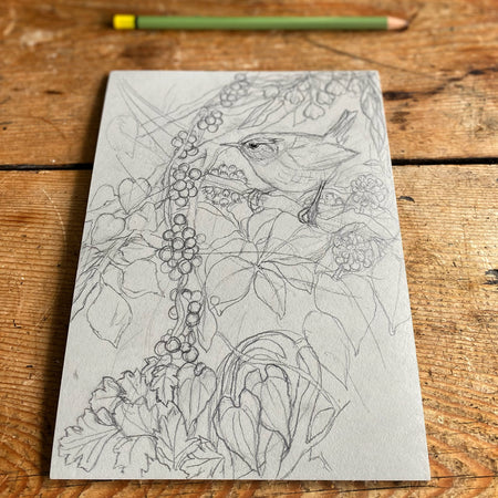 Prints – Lou Tonkin